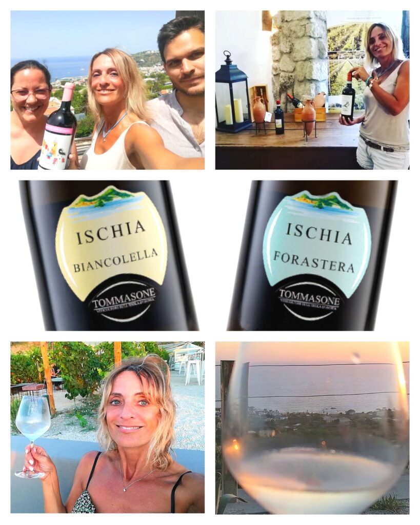 cantina-pietra-di-tommasone-ischia-wine-travel-blog-weloitalyeu